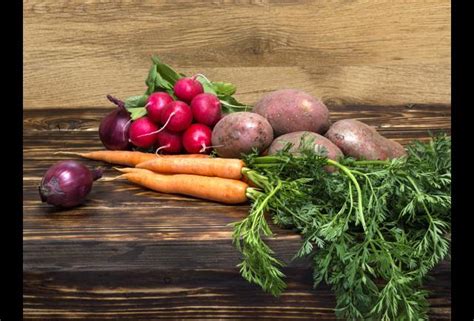 these are the 10 most popular datasets on the us government data portal