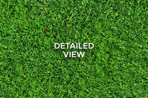 20 Seamless Grass Texture Pack Filtergrade
