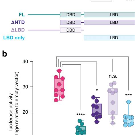 Rxrα Ligands Used In This Study Download Scientific Diagram