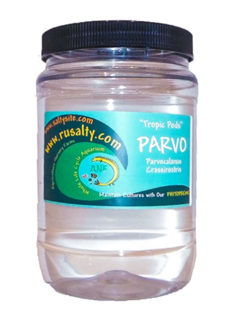 Parvo Copepods Parvocalanus Cultures Available By Rusalty