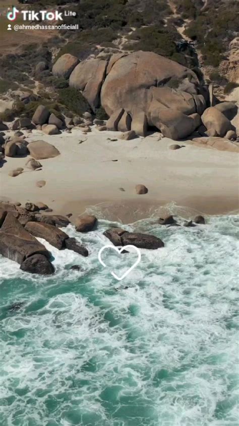 فَلَا يَحْزُنكَ قَوْلُهُمْ ۘ إِنَّا نَعْلَمُ مَا يُسِرُّونَ وَمَا