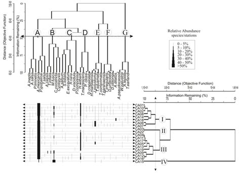 Cluster Analysis In Q Mode And R Mode Based On The Relative Abundance Download Scientific