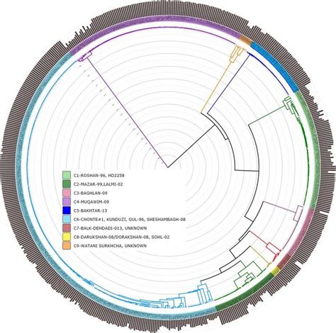 Tracking The Adoption Of Bread Wheat Varieties In Afghanistan Using Dna Fingerprinting