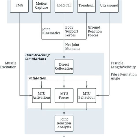 A Schematic Of The Data Workflow To Obtain The Main Outcome Measure Download Scientific