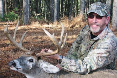 White Deer Eat Pine Trees Planting Deer Habitat Filling In The Gaps