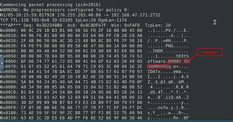 Tryhackme Snort Challenge — The Basics — Task 4 Writing Ids Rules Png And Task 5 Writing Ids