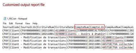 Electronic Reporting In D365 Replacing Existing Field With A Financial Dimension In An Outgoing