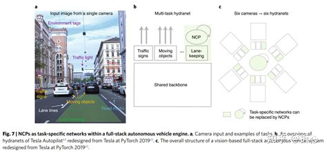 一些文章 Neural Circuit Policies Enabling Auditable Autonomy 知乎
