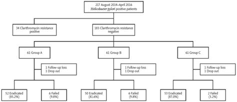 Effects Of Probiotics Or Broccoli Supplementation On Helicobacter Pylori Eradication With
