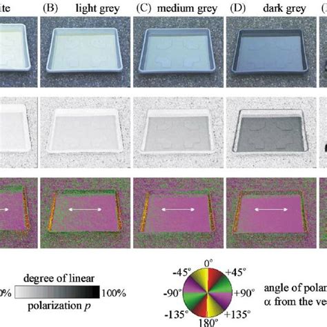 Reflectionpolarization Characteristics Of Shady Salad Oil Filled White