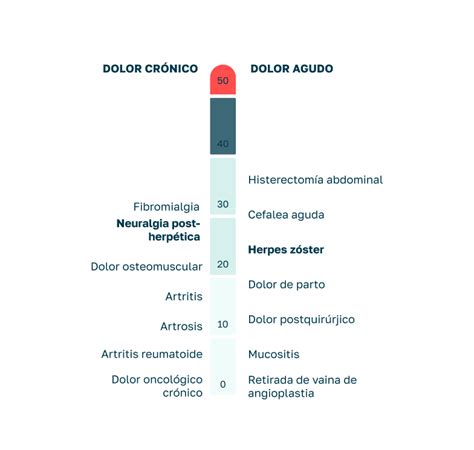 Tratamiento Del Herpes Zóster Mivi Salud