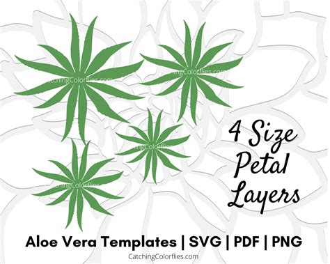Paper Cactus Templates Prickly Pear Ferocactus And Aloe Vera