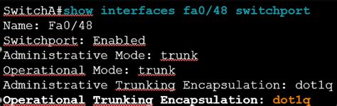 Access Trunk Streamlined Connectivity