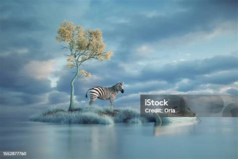작은 섬과 보트에 있는 얼룩말의 초현실적인 이미지 탐구하고 열망하는 개념 비현실적에 대한 스톡 사진 및 기타 이미지 비현실적 3차원 형태 경관 Istock
