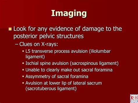 Pelvis Acetabulum Anatomy Imaging Classification Pptx