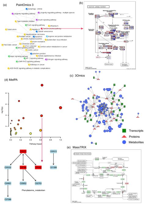 Guide To Metabolomics Analysis A Bioinformatics Workflow Pmc Guide To Metabolomics Analysis A Bioinformatics Workflow Pmc