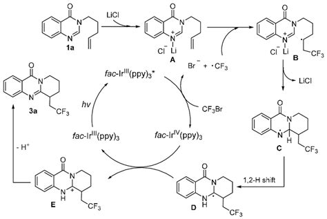 Scheme Proposed Reaction Mechanism Scheme Proposed Reaction Download Scientific Diagram