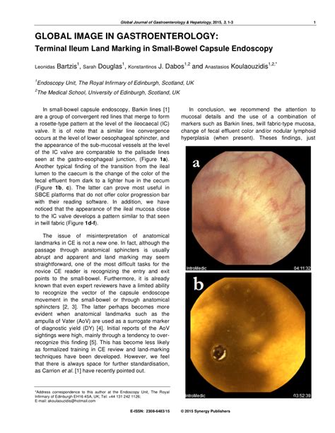 Pdf Terminal Ileum Land Marking In Small Bowel Capsule Endoscopy