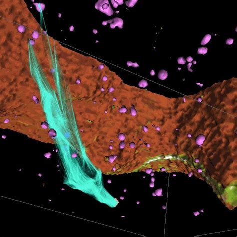 A 2d Line Integral Convolution Texture Applied To The Download Scientific Diagram