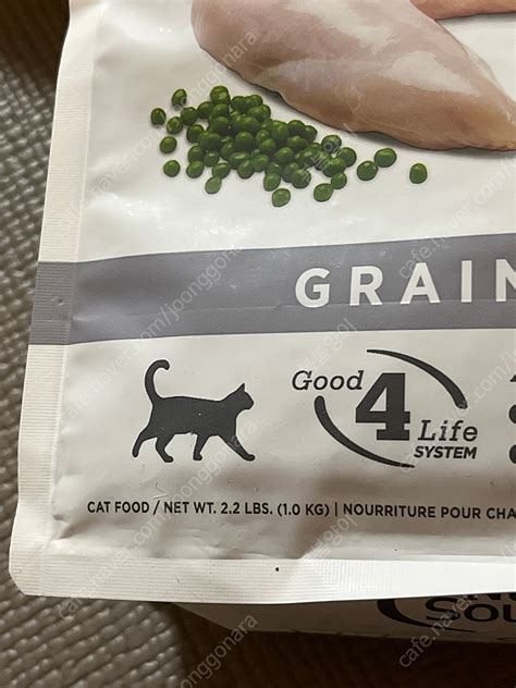 Kg