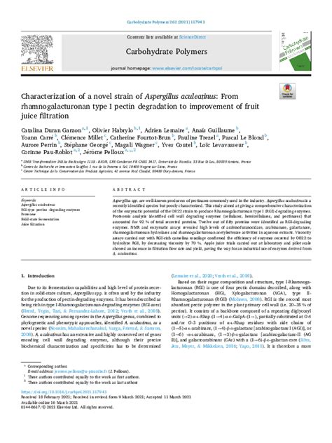 Pdf Characterization Of A Novel Strain Of Aspergillus Aculeatinus From Rhamnogalacturonan