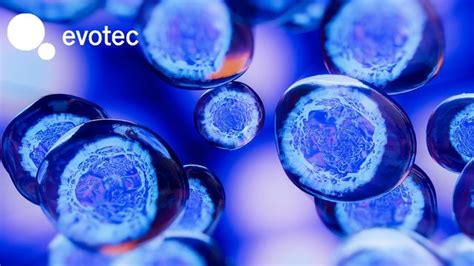 High Sensitivity Proteomics The Next Frontier For Spatial And Single