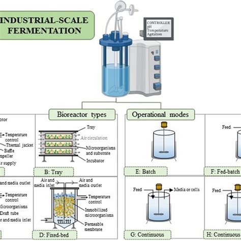 Bioreactor Types And Operational Modes Of The Midstream Stage Of