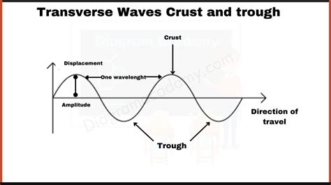 Transverse Waves Diagram