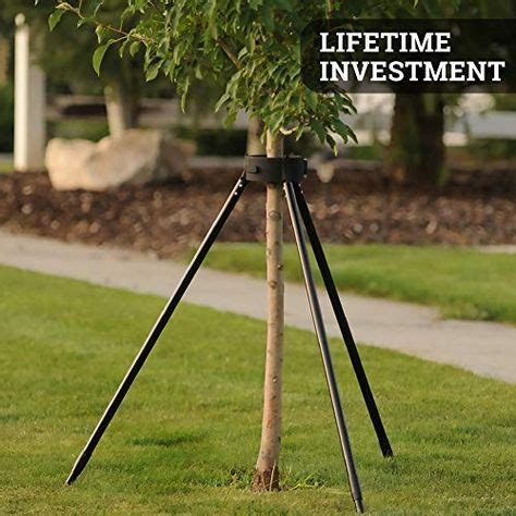 Tree Stakes Ideas In Tree Stakes Tree Tree Support