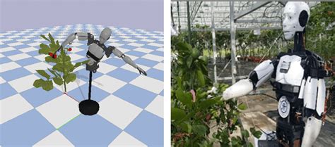 Learning Curve For Rl In The Inmoov Environment Download Scientific Diagram