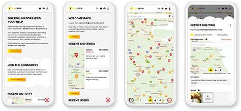 Web App User Interface Design Aha Catch Pendulum