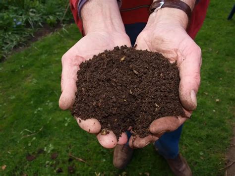 5 Signs Your Compost Is Ready For Use Will It Compost