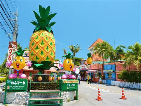 ナゴパイナップルパーク J Trip Smart Magazine 沖縄