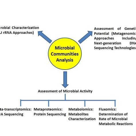 Pdf Applications Of Metagenomics In Microbial Bioremediation Of Pollutants From Genomics To