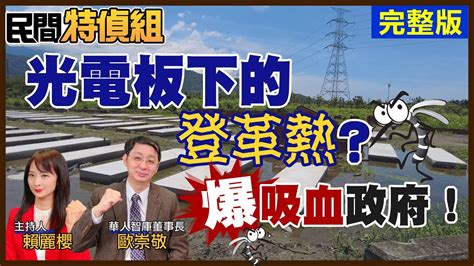 民間特偵組 101】登革熱釀3死！光電板下養蚊 居民好害怕！爆！吸血政府 揭密洗錢遊戲！賴清德涉春風專案？校園抓靶子 民間特偵組