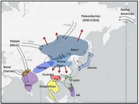 East Asia Migration