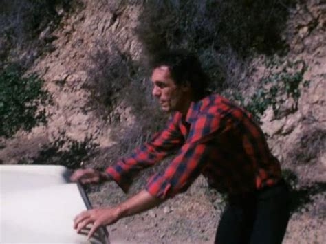 Robert Davi