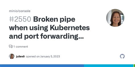 Broken Pipe When Using Kubernetes And Port Forwarding 9001 · Issue