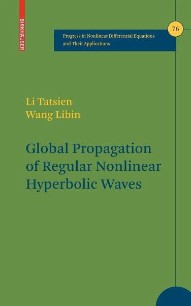 Global Propagation Of Regular Nonlinear Hyperbolic Waves Von Tatsien Li Wang Libin Englisches