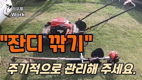 Diy Ep4 잔디 깎기 사용 방법 Youtube