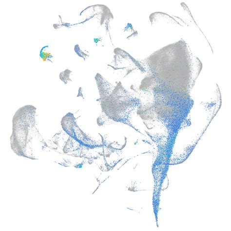 Pfas All Cells Daniocell