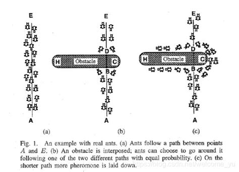 优化算法蚁群算法的理解及实现局部搜索的蚁群算法 Csdn博客
