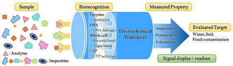 Electrochemical Biosensor Array For Multiplexed Detection At Kristie Pineda Blog