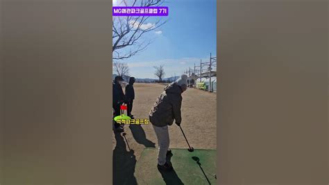 파크골프 Mg왜관파크골프클럽 번개팅 석적파크골프장 Youtube
