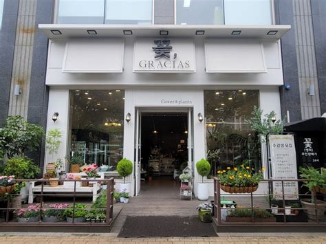 부천 꽃집 유리창청소 후기 인천광역시 서구 청라동 비즈프로필