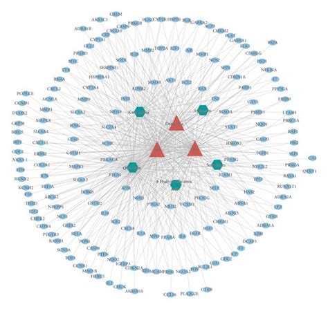 Venn Diagram Overlapping Target Genes Among Cp Compounds Ad Pd And