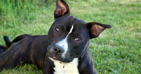 Master Vulnerability Management Remediation A Friendly Guide