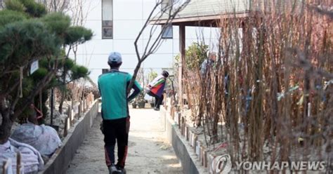 분주한 나무시장