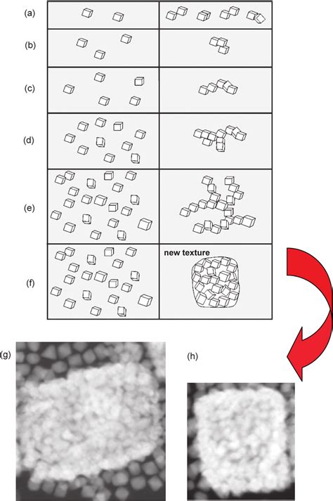 Af Possible Illustrations Of Attachment Aggregation Or