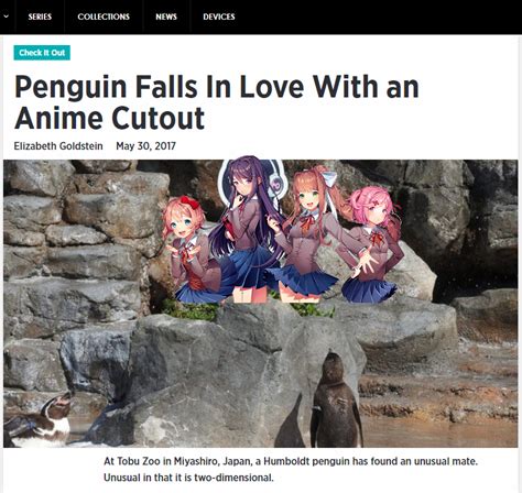 R DDLC In A Nutshell R DDLC